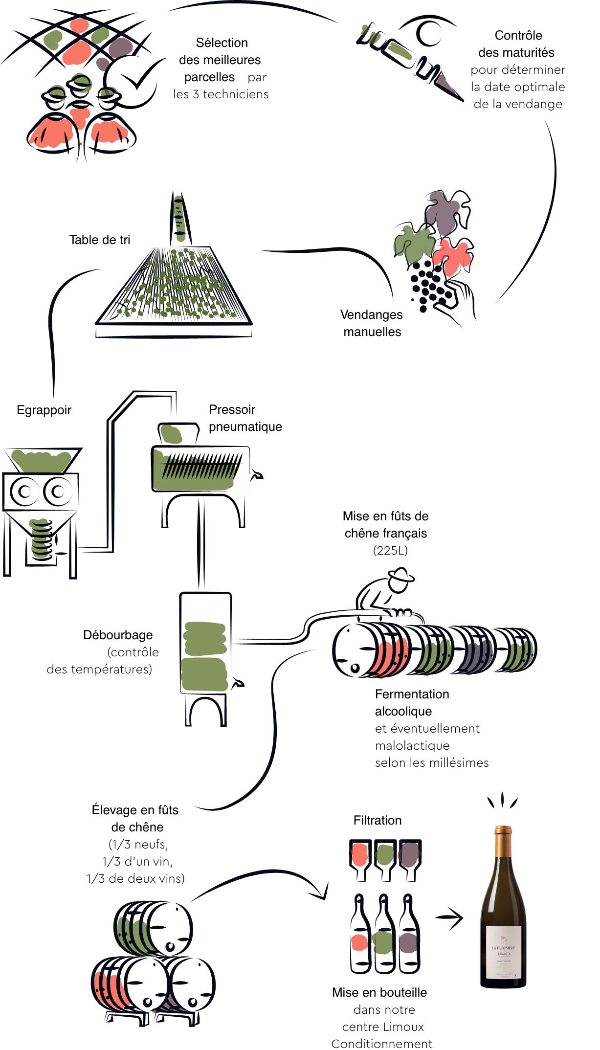 La vinification - Anne de Joyeuse