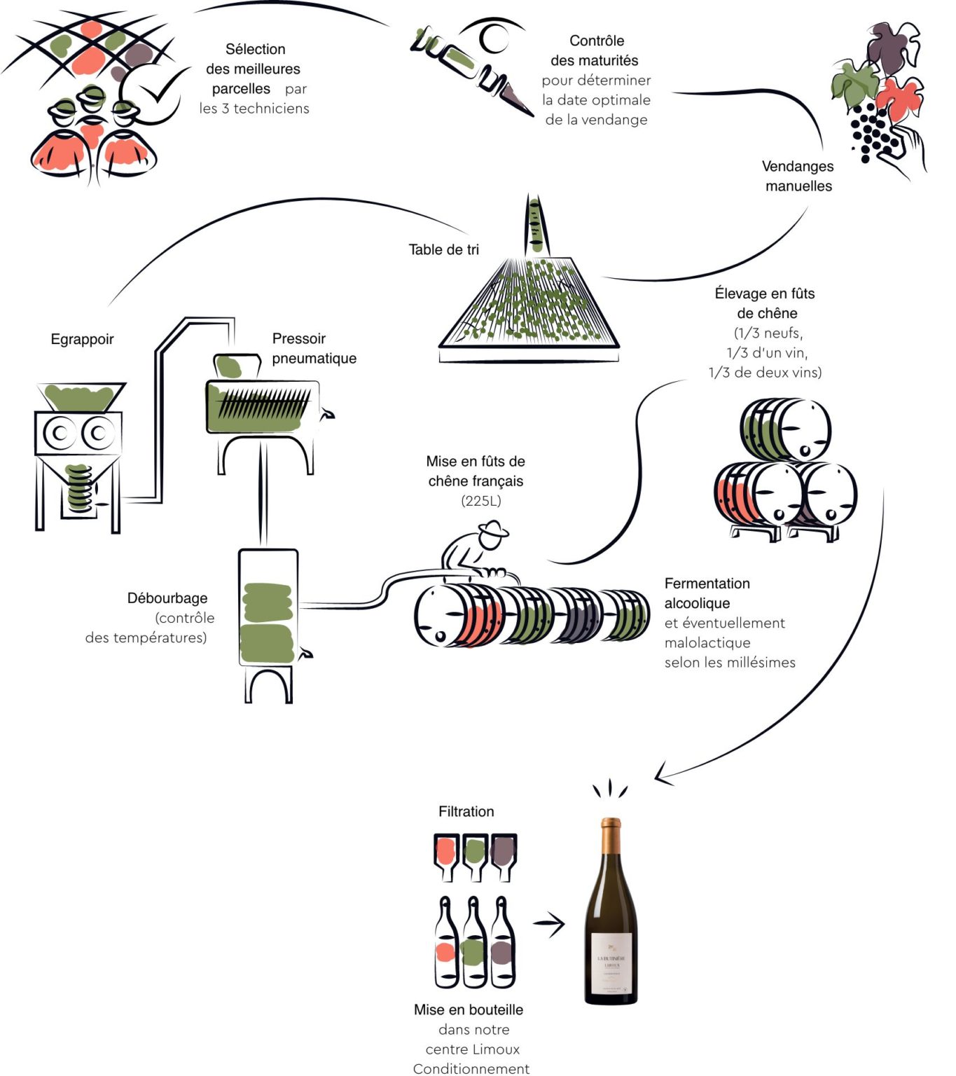 La vinification - Anne de Joyeuse